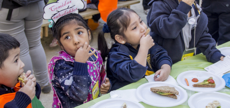 Programa de Alimentación Saludable y Actividad física para familias ...